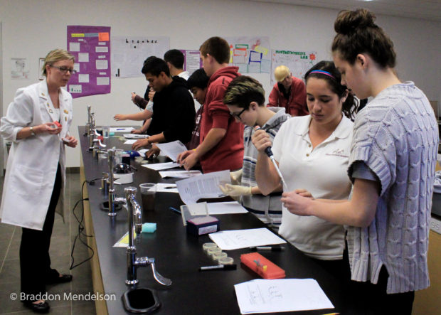 Science Lab | Braddon Mendelson